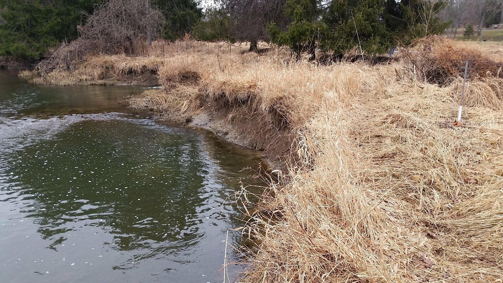 Great Lakes Sediment & Nutrient Reduction - monroecountyswcd.org